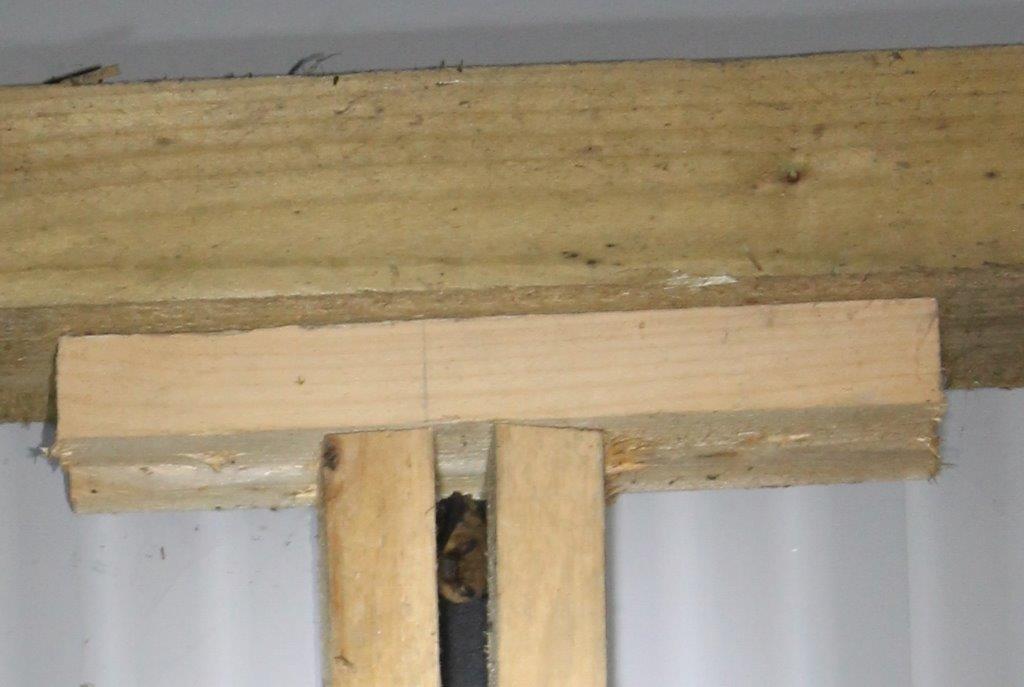 Bats - Farming for Nature