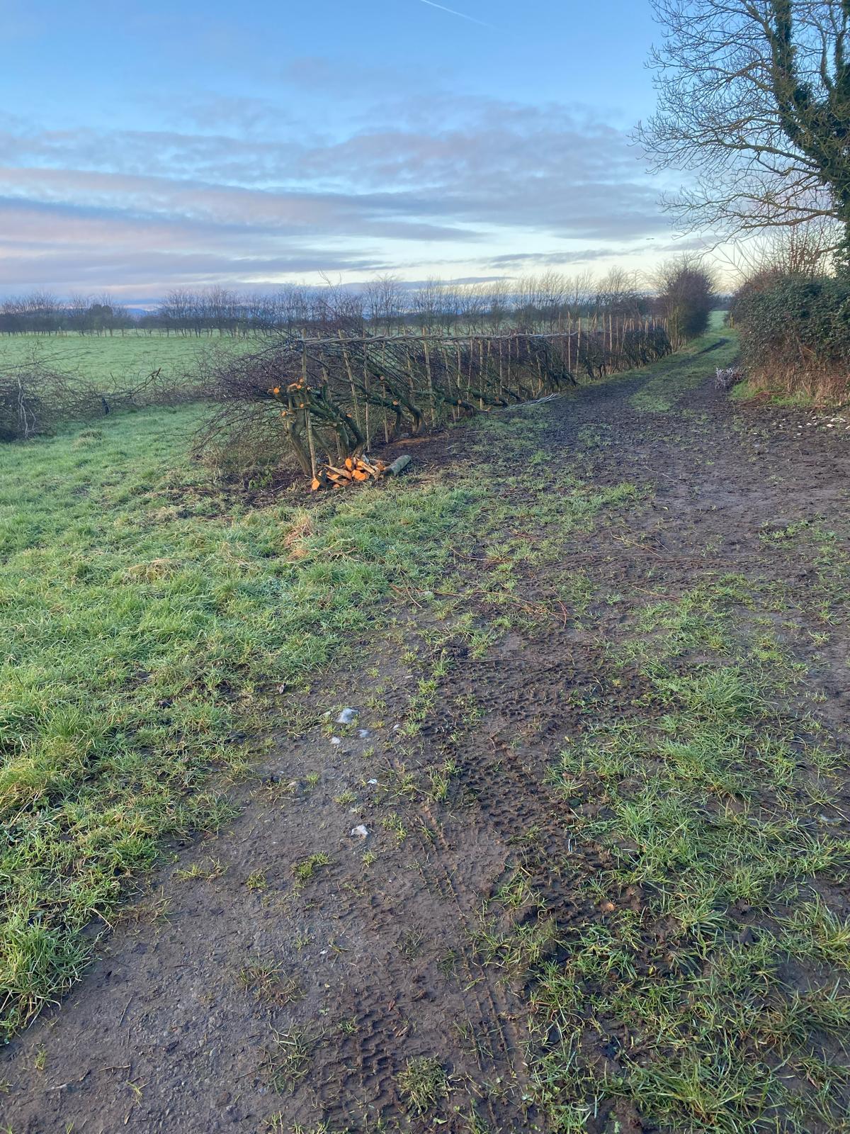 Pat Maher - Farming for Nature