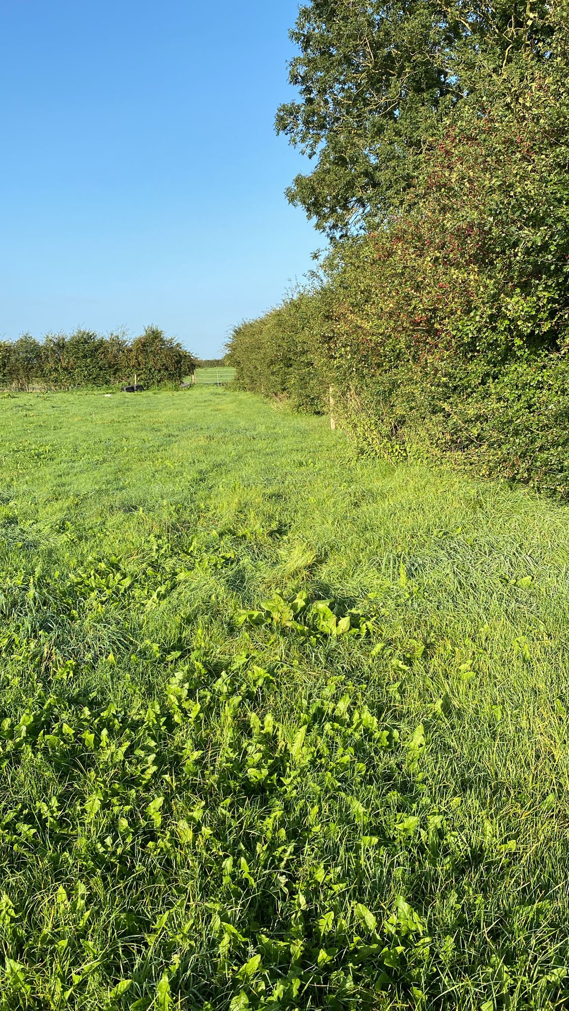 Pat Maher - Farming for Nature