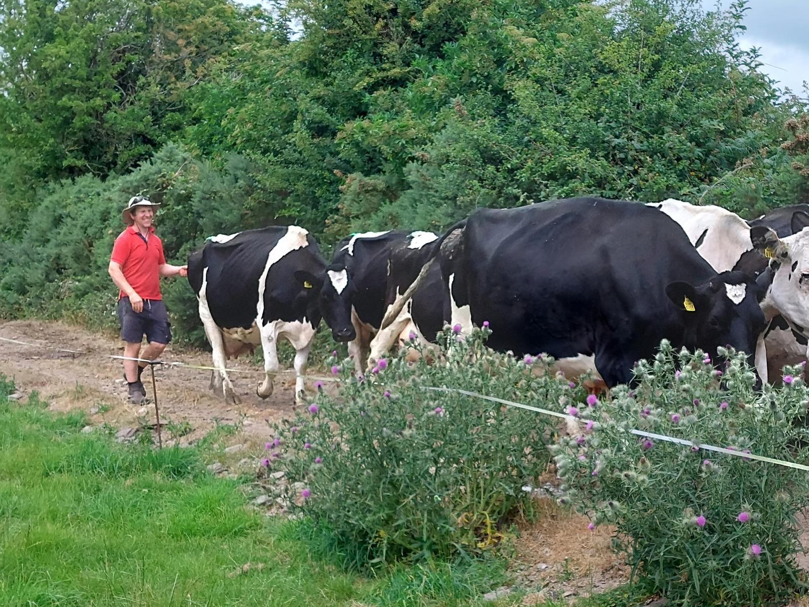 Conventional Dairy Farming for Nature in Wexford - Alan and Cheryl Poole