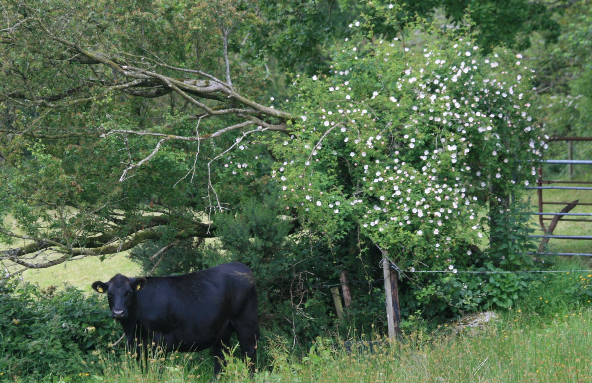 Tony Grogan - Farming for Nature